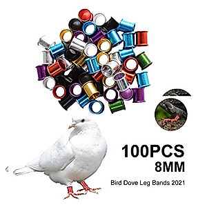 Bothyi 100 Pieces Pigeon Foot Rings,Parrot Leg Bands,Birds Foot Rings Identification 8mm Foot Clip Rings Bands for Pigeon Birds Chicks Poultry Parrots, Multicolor