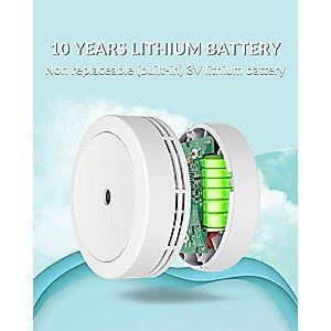 Ecoey Small Smoke Detector Alarm, 10 Year Fire Alarms Smoke Detectors with Built-in 3V Battery, Smoke Alarm with Big Test Button and Silence Function for House, FJ135, 2PACK