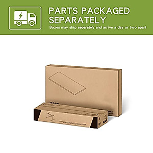 Radlove Dual Motor Electric Height Adjustable Standing Desk, 59 x 30 Inches Desk Whole-Piece Desk Board Electric Sit Stand Desk Home Office Table Ergonomic Desk