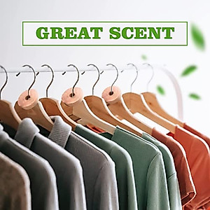 Cedar Blocks for Clothes Storage Cedar Variety 50 Pack, 30 Cedar Rings & 20 Cedar Balls 100% Natural Aromatic Cedar Accessories for Closets & Drawers (50Pack-Rings & Balls)