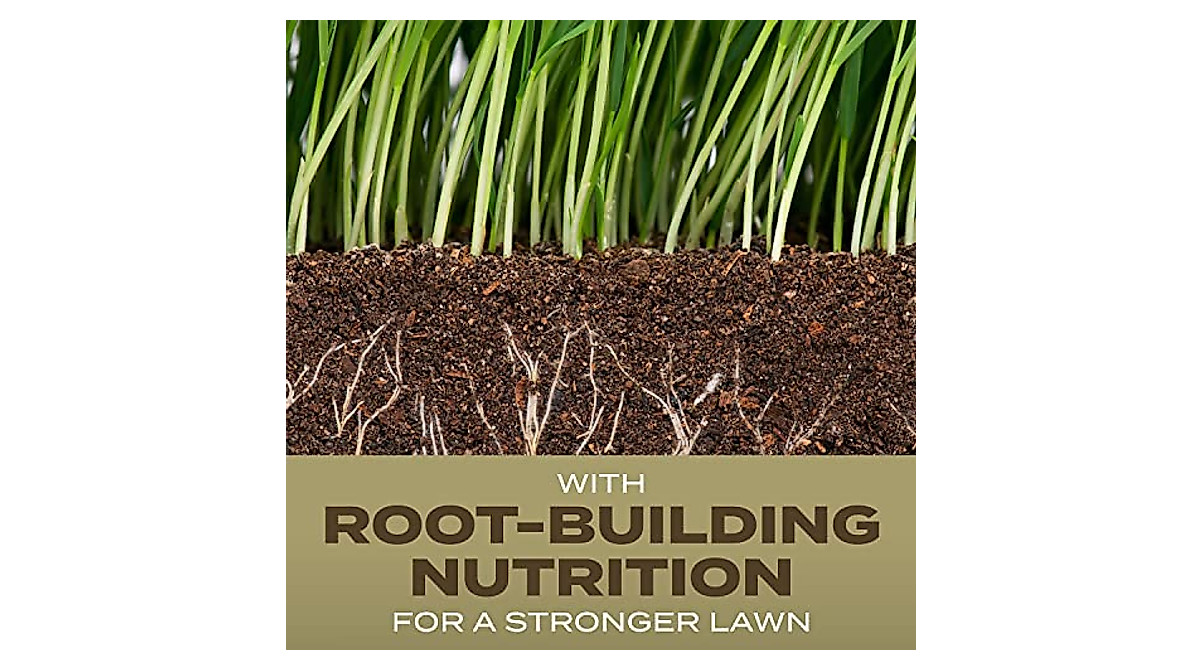 Scotts Turf Builder Grass Seed Southern Gold Mix for Tall Fescue Lawns
