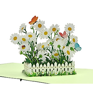 CUTPOPUP Mothers Day Card Pop Up, Birthday 3D Greeting Card (Daisy Flowers)