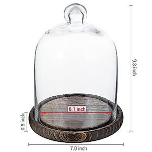 MyGift Clear Cloche Glass Dome, Display Bell Jar with Top Handle and Rustic Brown Solid Wood Base