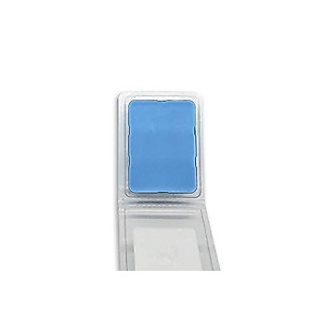 Walter & Rosie Candle Co. - Beach Club Wax Melt - 3 Pack - Scented Candles Inspired by Disney Scents - Smell Like Disney Resorts - The Happiest Scents on Earth - Soy Blend - Up to 18 Hrs