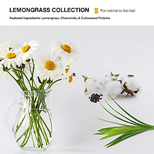 MOP Lemongrass Volume Conditioner For Fine Hair - Chamomile & Lemongrass Extracts Provide Volume, Hydration & Shine, Lightweight Formula