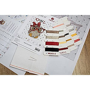 Cross Stitch Kit Luca-S - The Owl with Glasses, B1403