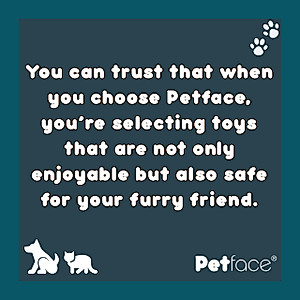 Petface Squeaky Rugby Tennis Ball