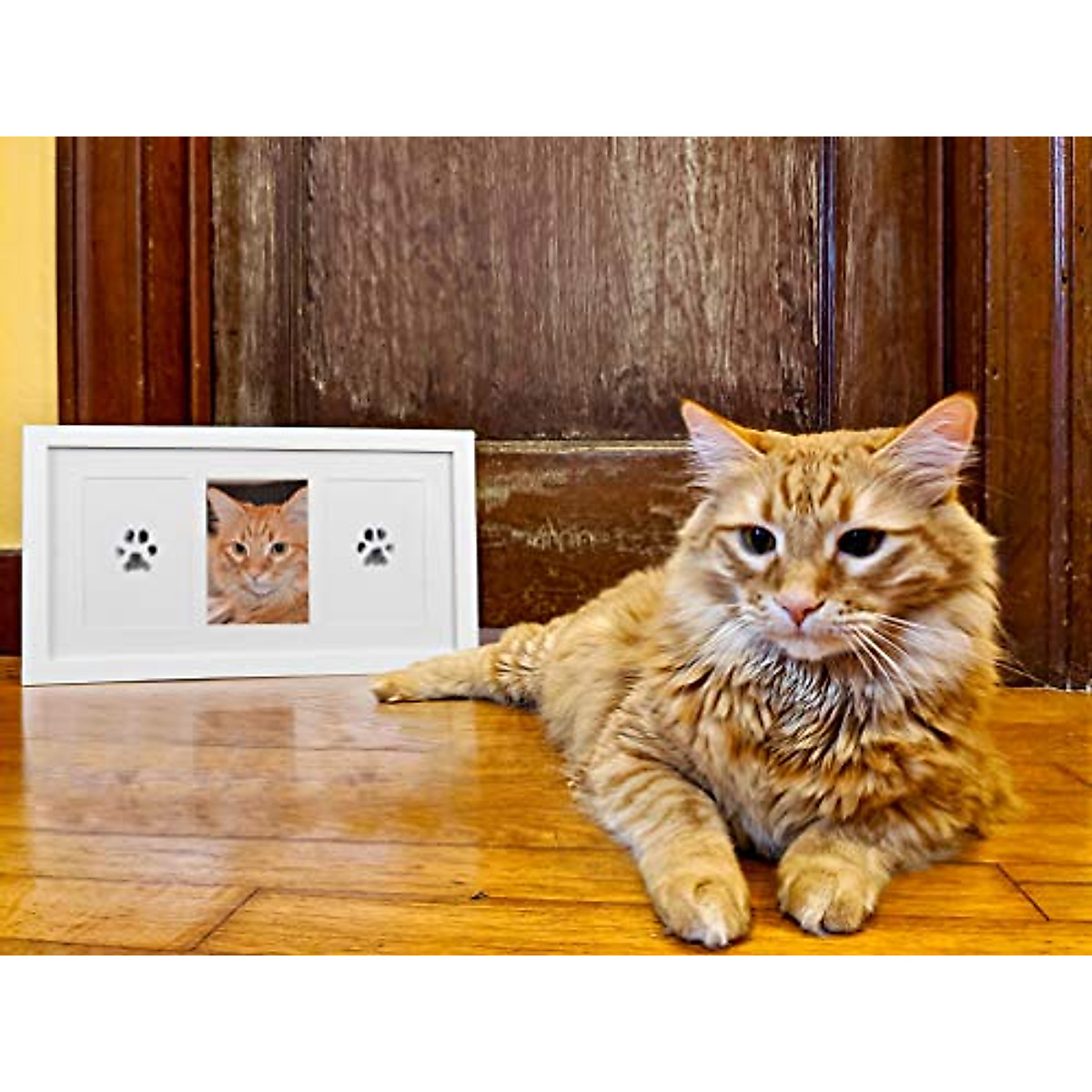Green Pollywog | Paw Print Frame Kit | Paw Print Picture Frame | Dog Dad Frame | Dog Paw Print Gifts | No Mess Ink Pad for Pets | Pet Memorial Picture Frame | Pawprint Frame | Cat Paw Print Kit