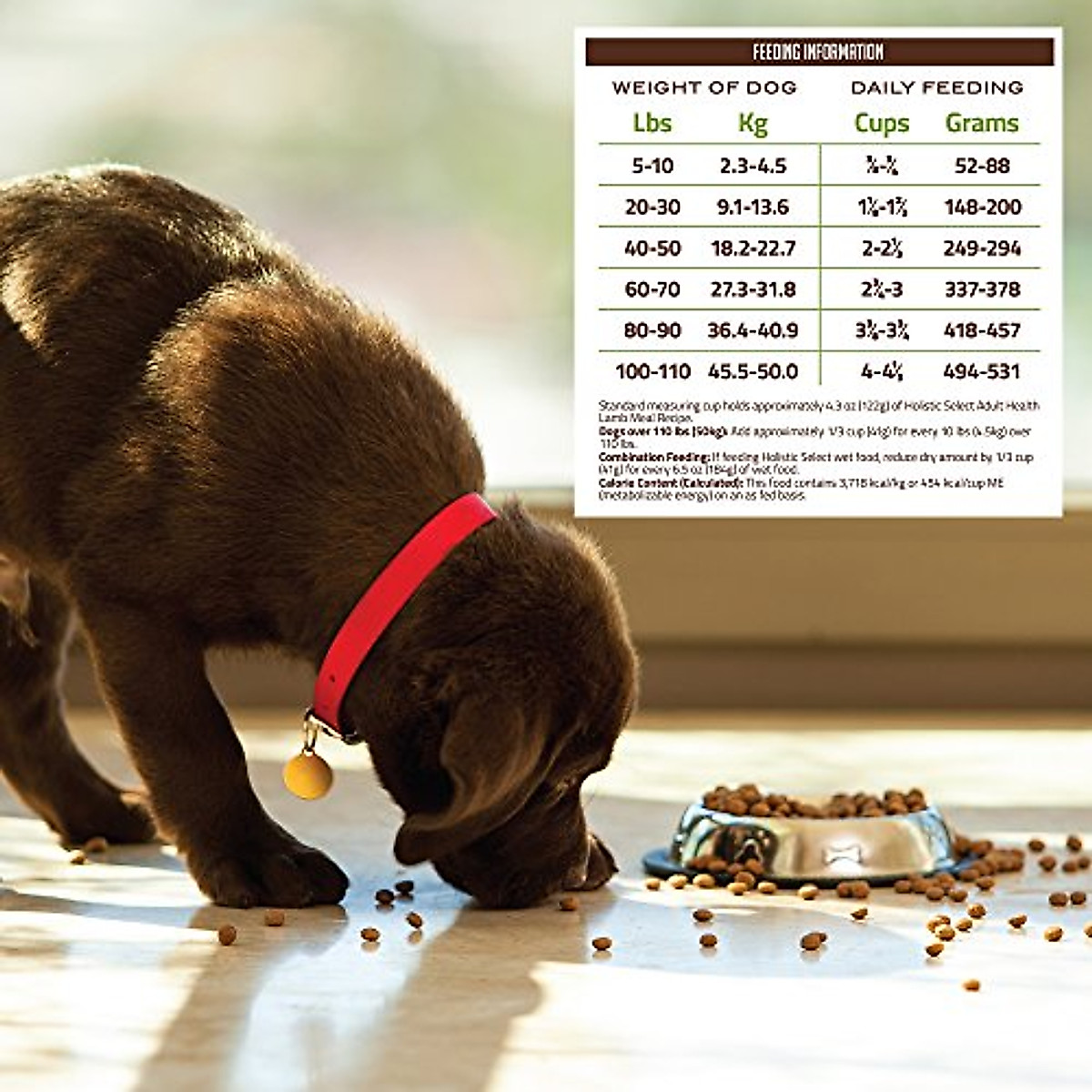 Holistic Select Natural Dry Dog Food, Lamb Meal Recipe, 30-Pound Bag