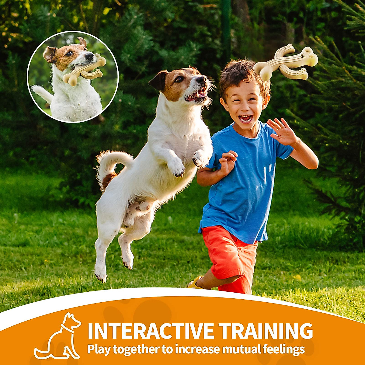 Dog Toys, Durable Rubber Cactus Dog Toy for Aggressive Chewers, Tough Rubber Dental Chew Dog Toys Interactive Dog Toys for Large Medium Small Breed, Biodegradable Materials