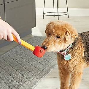 Brightkins Pooch School Training Set - 15 Piece Set Training Games for Dogs, Games and Toys for Dogs