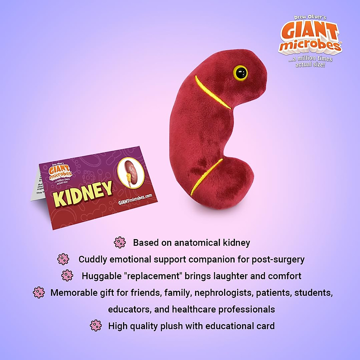 Giantmicrobes Kidney Plush, Kidney Stuffed Animal, Kidney Transplant Gifts, Kidney Donor Gifts, Kidney Pillow, Urology Gifts, Nephrology Gifts, Dialysis Nurse Gifts, Gifts For Urologist, Kidney Toy