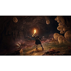 Bandai Namco Entertainment Elden Ring (PS5)