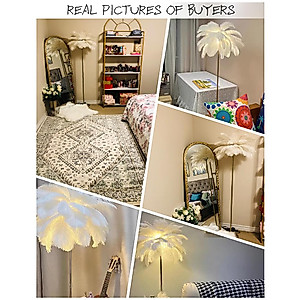 GOYQGLE Floor Lamp Gold,62.9in Ostrich Feather Floor Lamp with Foot Switch / 6-Light*G4,Golden Lamp Body with Plug in Wire,Bulb Included,Simple Modern Bedroom and Living Room