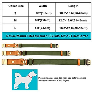 Canvas Nylon Dog Collar Durable and Adjustable Classic Pet Collars with Quick-Release Metal Buckle and D-Ring for Small Medium Large Boy and Girl Dogs (S, Green)