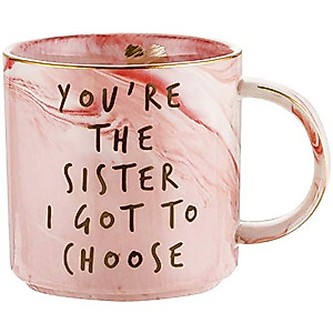 You're the Sister I Got to Choose - Like Sisters Gifts - Best Friend Friendship Gifts for Women - Funny Best Friend Birthday Gifts for Soul Unbiological Sister, BFF