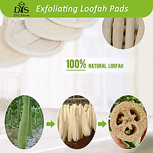 Face Loofah Pads Exfoliating Scrubber, Natural Luffa Facial Cleanser Pad Sponges Exfoliator Scrub Brush 6 Pack for Body Back Dead Skin Cleansing Washing Suitable for Men Women Bath Shower Spa Massage