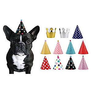 CBM Dog Party Hat Set - Dog Birthday Party - Hats and Crowns Party Time - 11pcs
