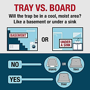 Heavy-Duty Rat Mouse Snake & Insect Glue Trap by Catchmaster - 6 Pre-Baited Trays with Hercules Putty Fastener, Ready to Use Indoors. Floor Anchor Sticky Adhesive Non-Toxic - Made in The USA