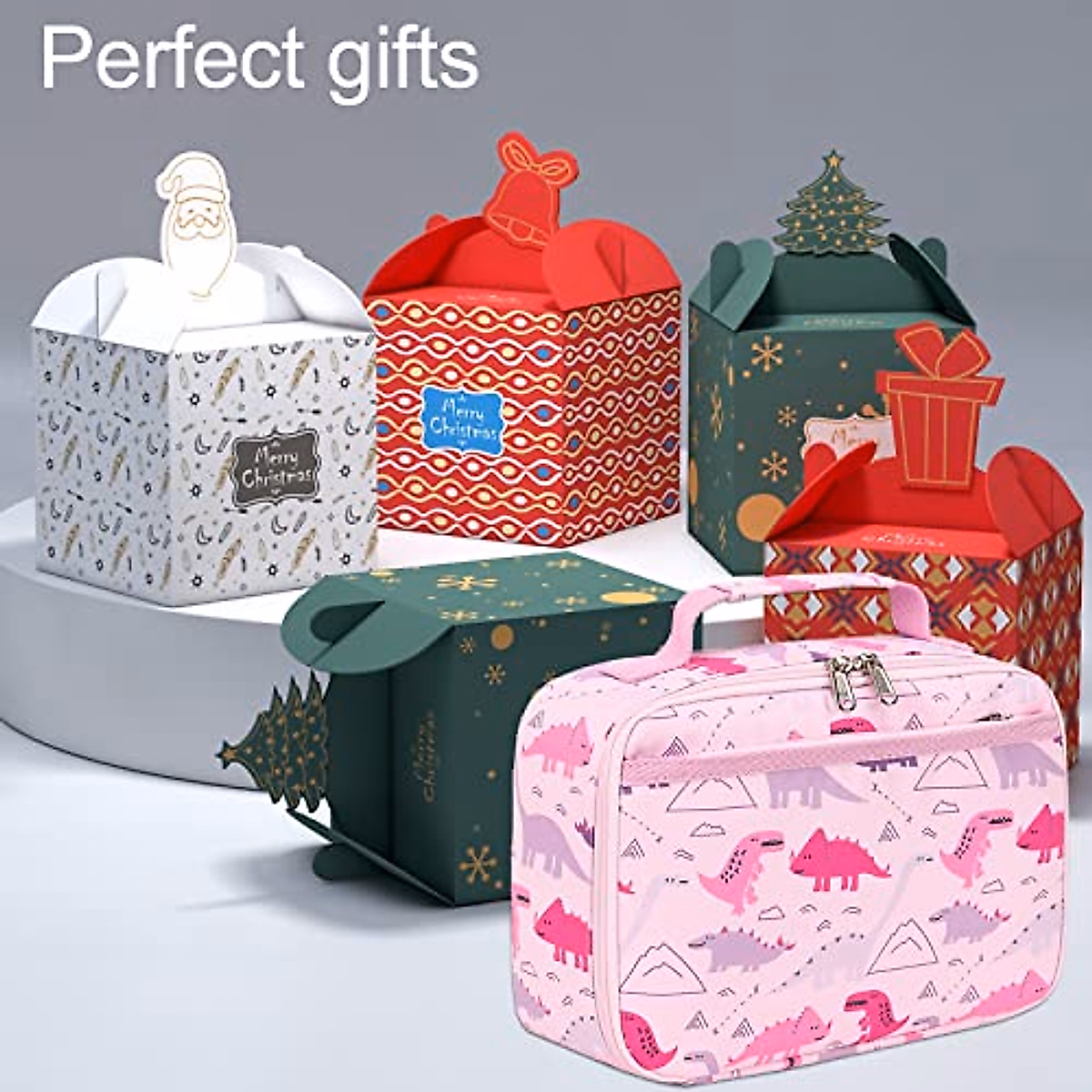 Kids Lunch Box Boys Girls Insulated Lunch Cooler Bag Reusable Lunch Tote Kit for School Travel Dinosaur Pink