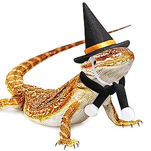 Rypet Bearded Dragon Halloween Costume - Lizard Wizard Hat with Scarf Halloween Costumes Set for Bearded Dragon Halloween Party
