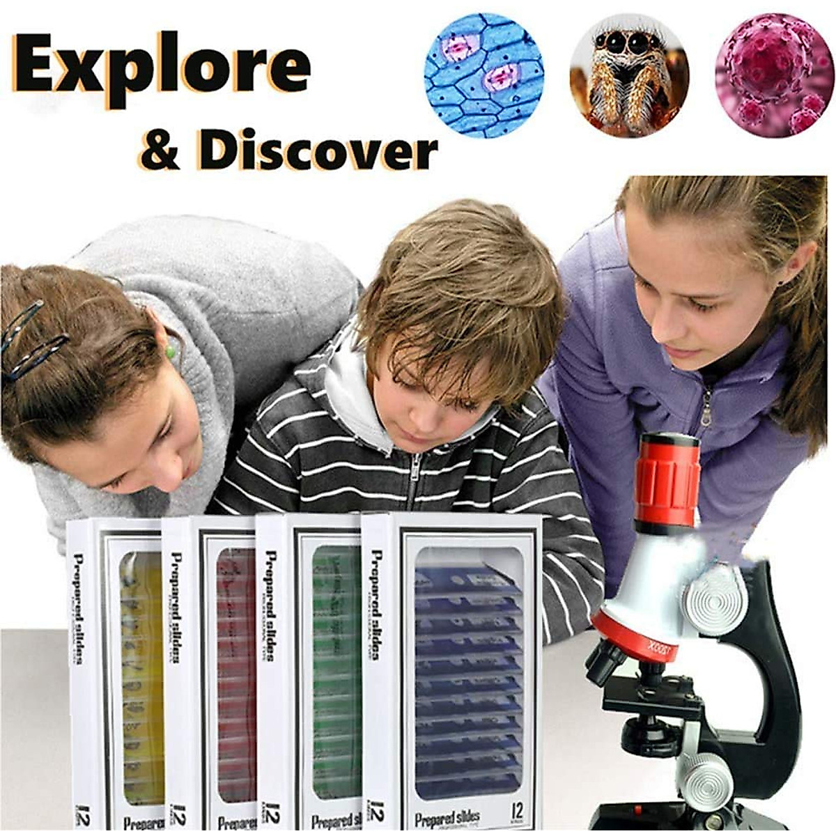 48PCS Kids Plastic Prepared Slides for Microscope of Animals Insects Plants Flowers Sample Specimens for Basic Biological Science Education #81053