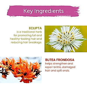 Himalaya Anti- Breakage Shampoo, Repairs Damaged, Brittle Hair and Split-ends, 13.53 oz/400 ml, Pack of 2