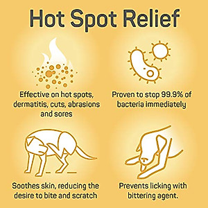 Absorbine Silver Honey Hot Spot & Wound Care Ointment, Manuka Honey & MicroSilver BG, Medicated Skin Care for Dogs, Cats, Small Animals, 2oz Tube
