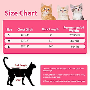 2 PCS Cat Recovery Suit for Spay Abdominal Wounds, Cat Onesie for Cats After Surgery, Cat Surgery Recovery Suit Female Breathable E-Collar Alternative Kitten Onesie for Cats Anti Licking (Medium)
