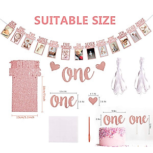 Rose Gold 1st Birthday Baby Photo Banner for Newborn to 12 Months And Alphabet ONE Bunting, Alphabet ONE Cake Topper for Baby Show First Birthday Party Decoration