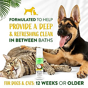 TropiClean Hypoallergenic Waterless Dog Shampoo | Dry Shampoo for Dogs With Sensitive Skin | Natural Dog Shampoo Derived from Natural Ingredients | Cat Friendly | Made in the USA | 7.4 oz