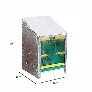 Rural365 Automatic Chicken Feeder System - 5.5 lb. Capacity Galvanized Feeder Metal Trough for Poultry and Rabbits