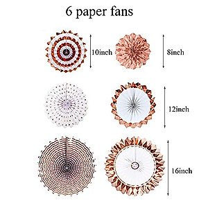 65th Birthday Decorations for Women by Hombae, 65th Anniversary Decorations, 65 Bday Decorations, Rose Gold Cheers to 65 Years Banner, 65 Birthday Decor, 65 Years Old Party Favors Supplies