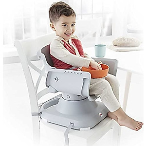 Fisher-Price Baby to Toddler High Chair SpaceSaver Portable Dining Seat & Booster with Washable Deep Tray & Liner, Windmill
