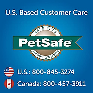 Peek-A-Bird Cat Toy Replacement Feathers – 2 Pack Refill Parts – Interactive Teaser Toy for Indoor Cats All Breed Sizes