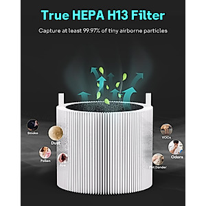 2 Pack Mini Max Replacement Filter Compatible with Blueair Blue Pure Mini Max Air Pur-ifiers, True HEPA H13 Filter & Activated Carbon FMINI Filter Replacement Compatible with Blue Pure Mini Max