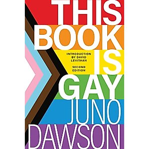 This Book Is Gay