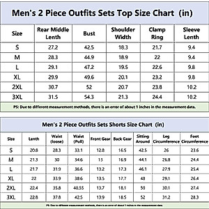 BIRW L Red Mens Short Sets 2 Piece Outfits Fashion Summer Tracksuits Casual Set Polo Shirt Short Sleeve and Shorts Set