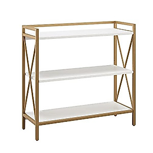 Leick Home 9261-WTGL Claudette Mixed Metal and Wood Bookshelf, White/Gold
