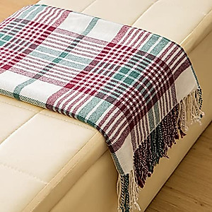 Geehouz Decorative Plaid Blanket Soft Christmas Sage Green Faux Cashmere Throw Blankets with Tassels for Halloween Farmhouse Home Decor 50" x 60" (Sage Green Plaid)