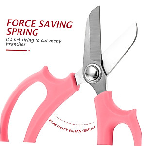 TEHAUX 2 Pcs Cutting Shears Floral Shears Garden Scissor Plant Shear Pole Pruning Shear Trimming Shear Florist Scissor Branch Cutter Loppers Grafting Scissors Stainless Steel Pp Plastic