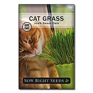 Sow Right Seeds - Heirloom Garden Kit for Cat Lovers - 4 Seed Packets with Instructions, Pots, Potting Soil, and Plant Markers - Start and Grow Catnip and Cat Grass Indoors - Non GMO - Wonderful Gift