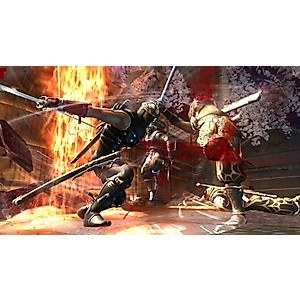 Ninja Gaiden II (Renewed)