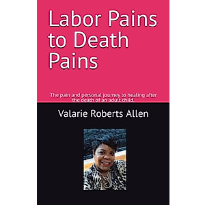 Labor Pains to Death Pains: The pain and personal journey to healing after the death of an adult child.