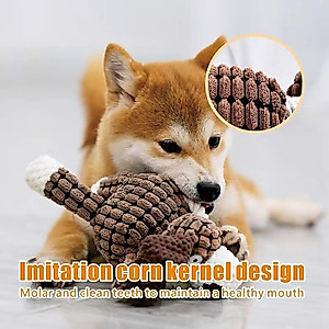 NENYLEI Briteza - Briteza Dog Toys, Briteza Immortal Squeaker Plush Toy for Aggressive Chewers, Dog Toys for Aggressive Chewers, Dog Rope Toy, Non Destructible Dog Toys (Mix*3)