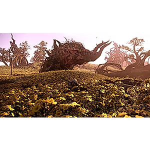 Wild Hearts - PlayStation 5