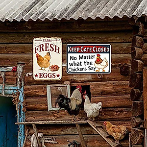 ANJOOY Metal Tin Signs Chicken Warning Sign Danger Keep Gate Closed - No Matter What The Chickens Say - Funny Gag Gifts for Chicken Fan Lovers Indoor Outdoor Chickens Plaque Wall Decor Art 8"x12"