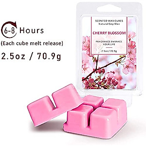 Scented Wax Melts, Wax Melts Wax Cubes, Soy Wax Cubes for Warmer Wax Melts Gift Set