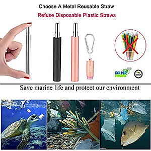 2 Pack Reusable Metal Straws Collapsible Stainless Steel Drinking Straw Travel Portable Telescopic Straw with Case,2 Cleaning Brushes Included Black/Rose Gold