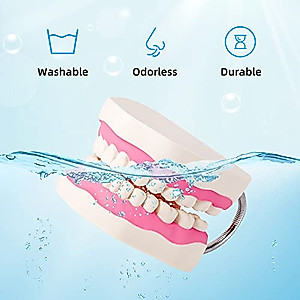 Annhua Large Anatonmical Teeth Model 6 Times Dental Hygiene Teeth Models, Dentist Teaching Oral Care Model with Detachable Tongue and Denture Toothbrush